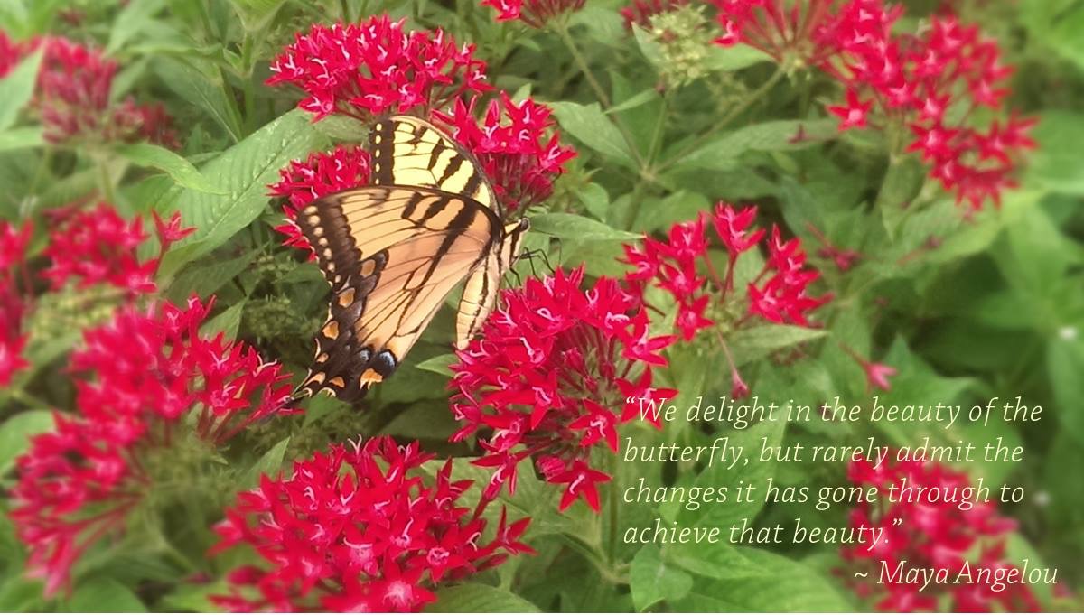 The “Brave” Butterfly – Many Faces of Cheri G