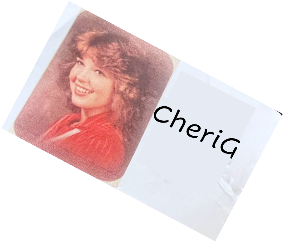 Lunatic Fringe – Many Faces of Cheri G